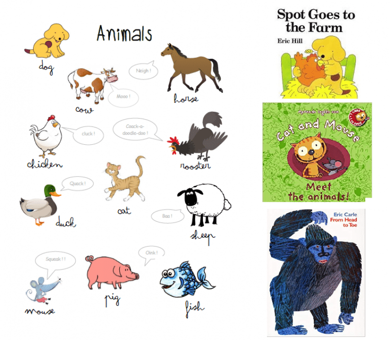 séquence anglais : animals - Anglais CE1, CE2, CM1, CM2, CP, Grande ...