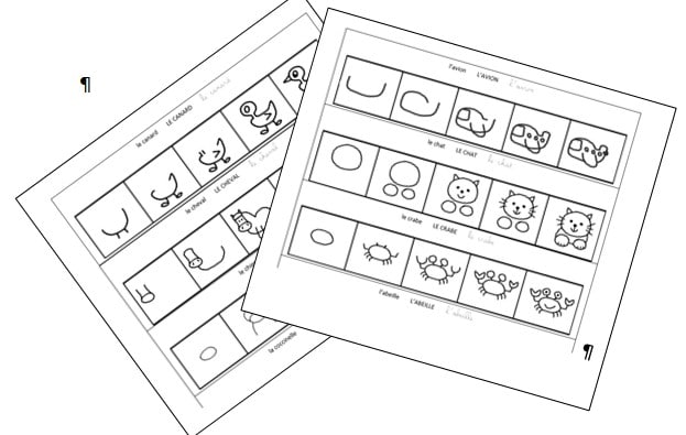 dessin par étapes - CP, Grande Section, Maternelle - La Salle des Maitres