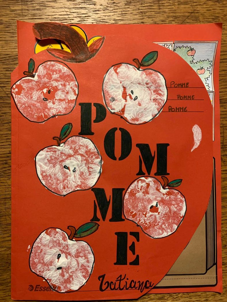 Automne! Lapbook pour tout savoir sur les pommes - Sciences CE1, CE2 ...