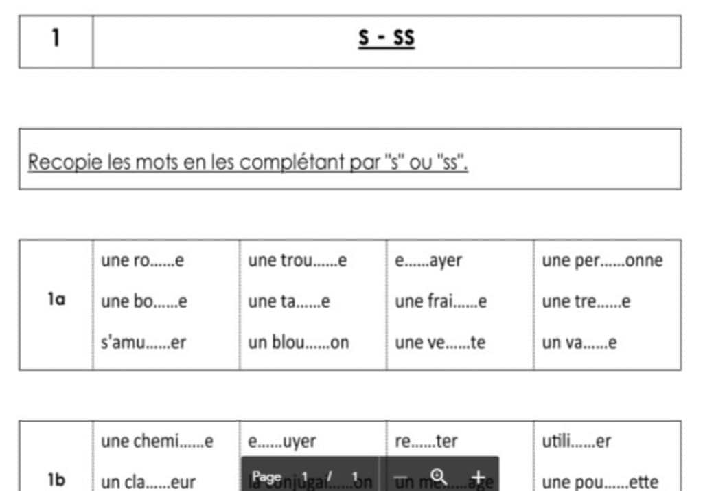 Orthographe - leçon + exercices s/ss - CE1, CE2, CM1, CM2 - La Salle ...