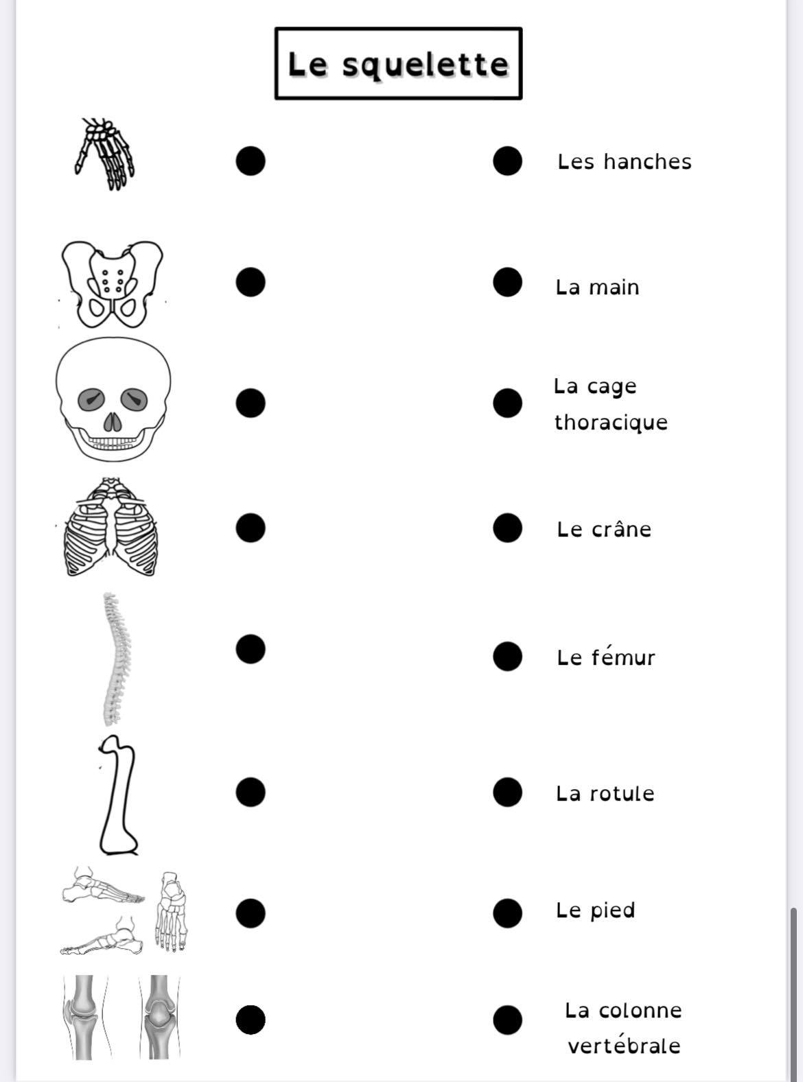 squelette descriptif et exercices - Sciences CE1, CE2, CP - La Salle ...