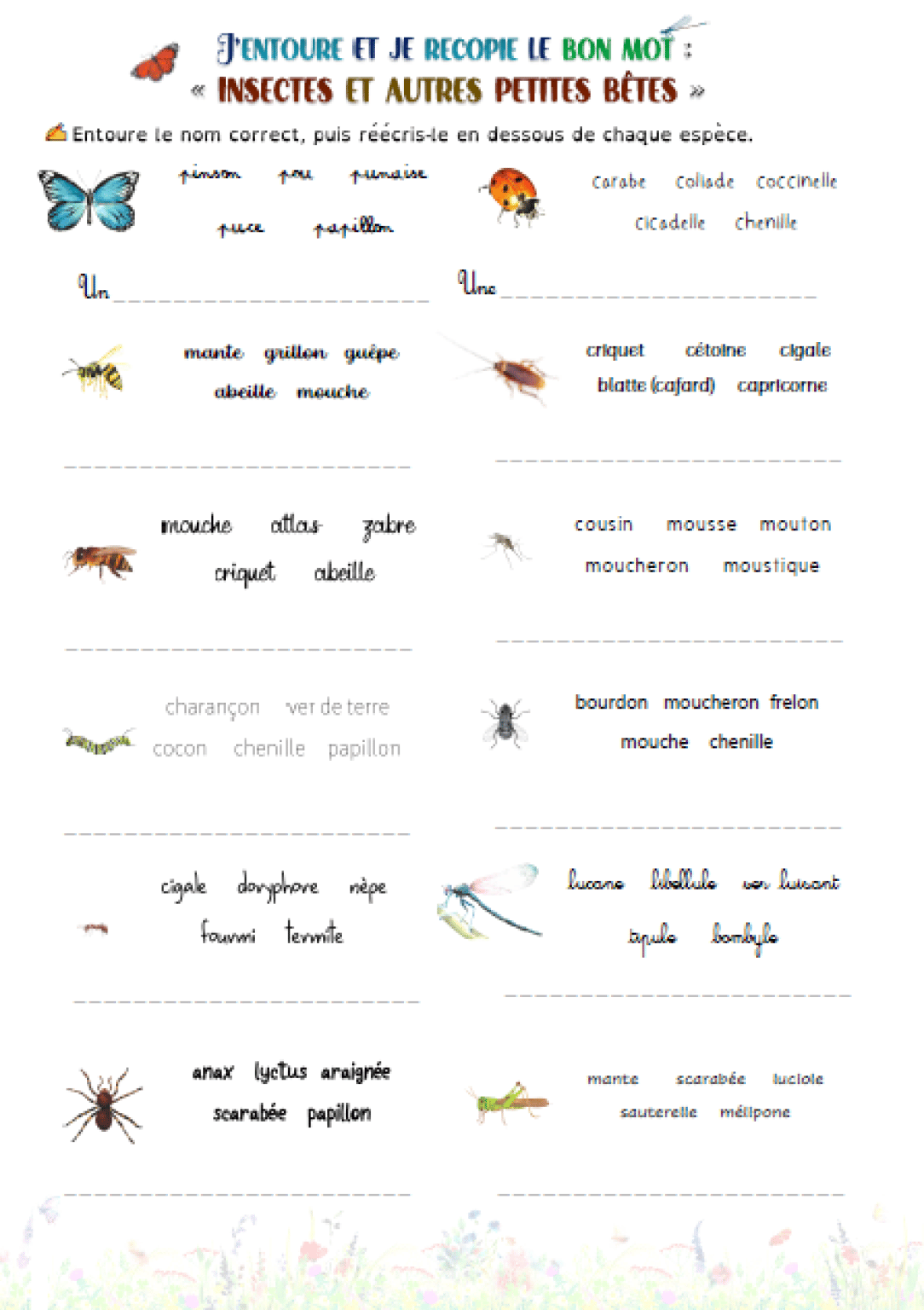 Exercices de lecture et d’écriture (CP, CE1) : Les insectes et autres ...