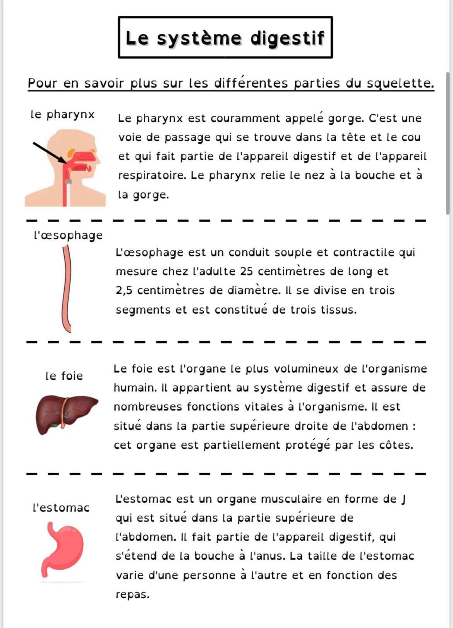 exercices sur le système digestif - Geographie CE1, CP - La Salle des ...