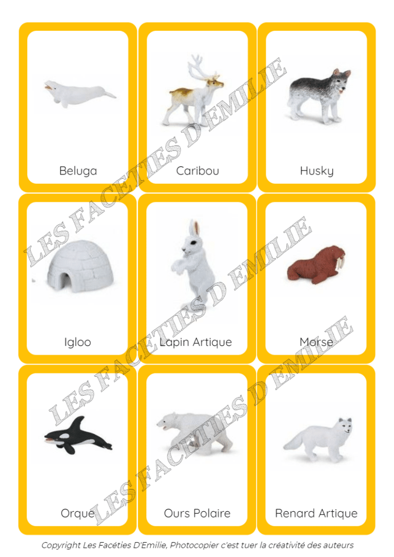 carte de nomenclature : les animaux de l'Arctique - Découverte du Monde ...