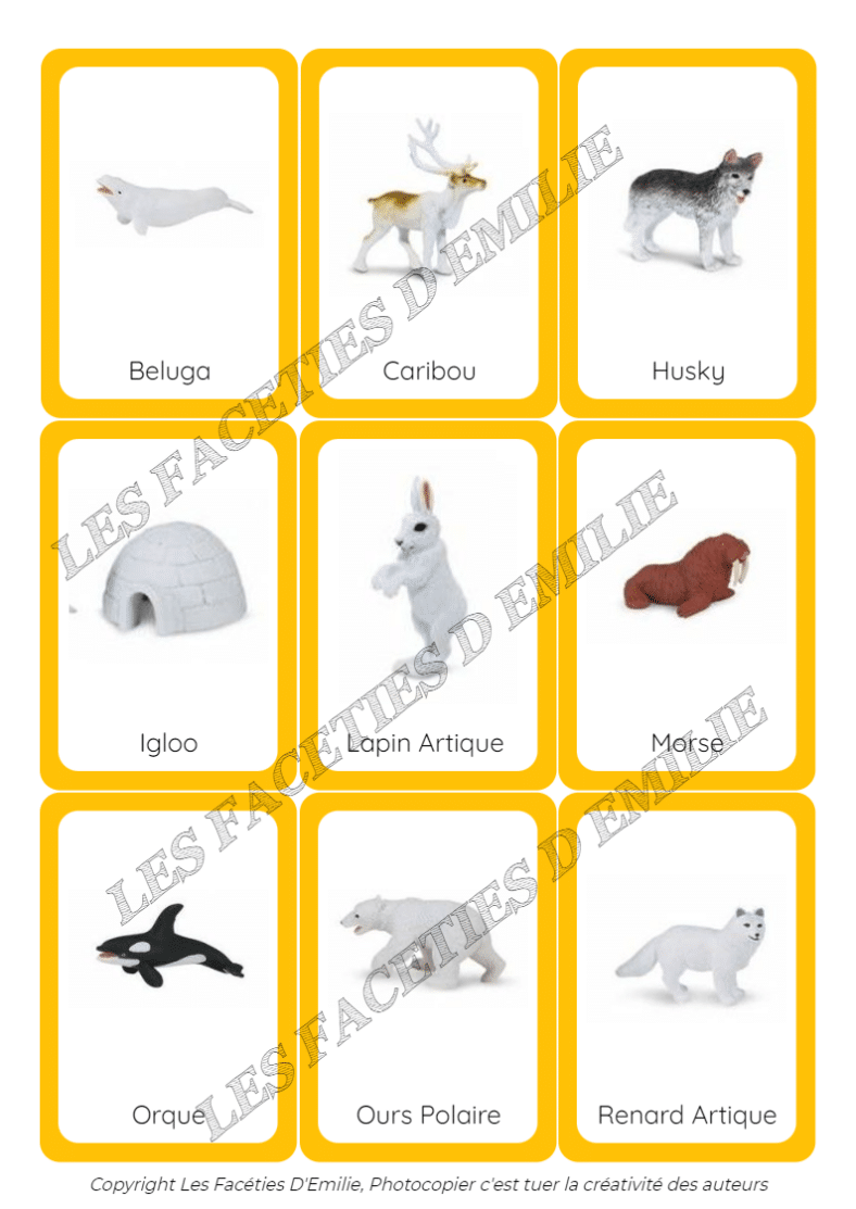 carte de nomenclature : les animaux de l'Arctique - Découverte du Monde ...