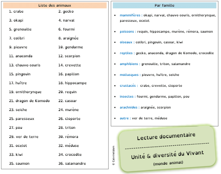 Fichier de lecture documentaire - Les animaux CE2 / CM - Lecture ...