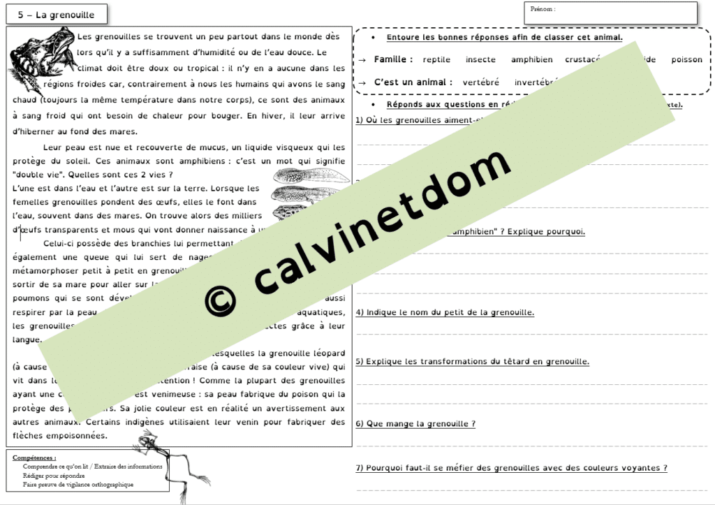 Fichier de lecture documentaire - Les animaux CE2 / CM - Lecture ...