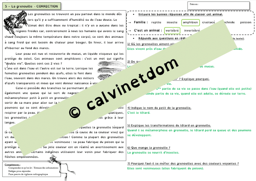 Fichier de lecture documentaire - Les animaux CE2 / CM - Lecture ...