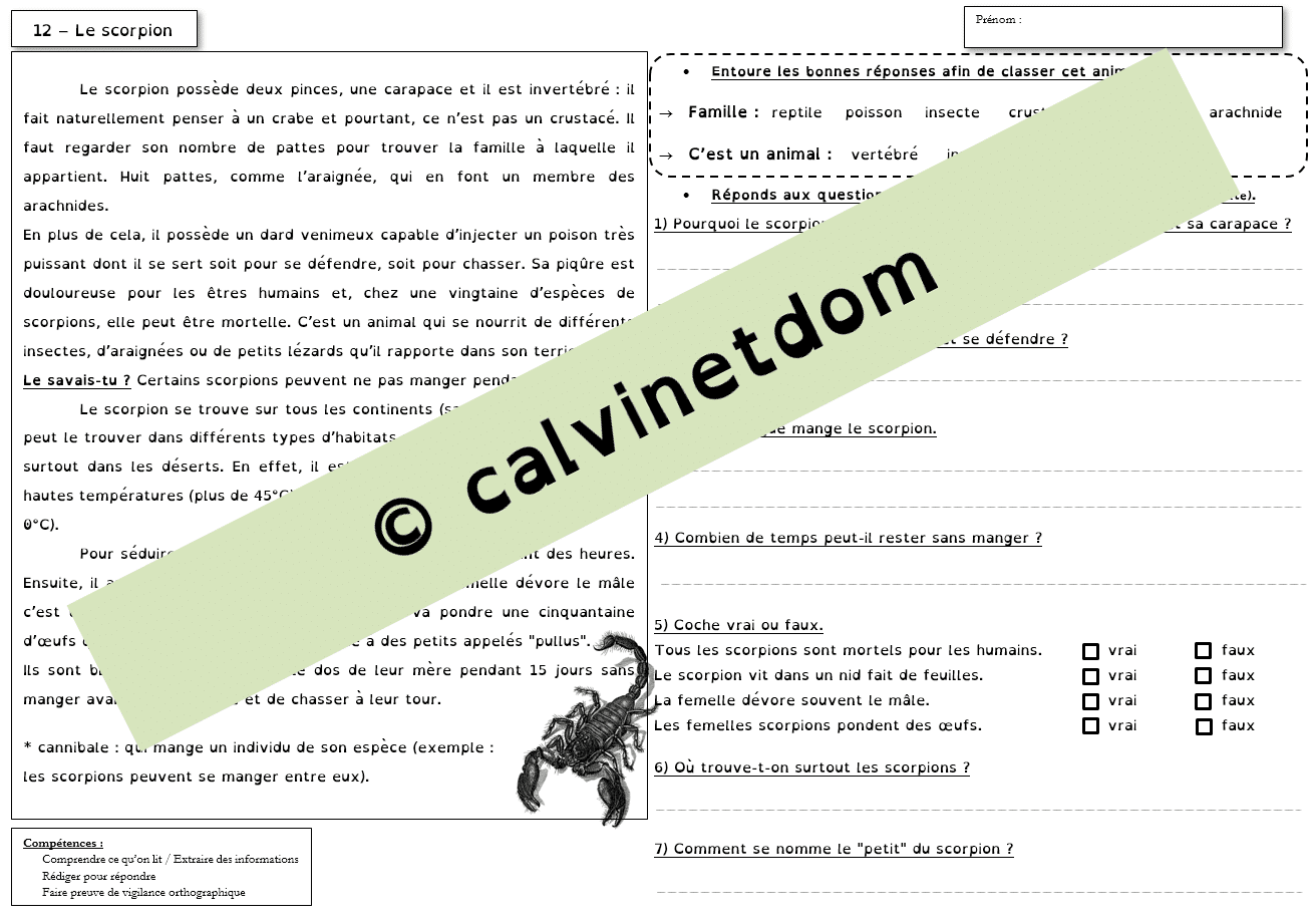 Fichier de lecture documentaire - Les animaux CE2 / CM - Lecture ...