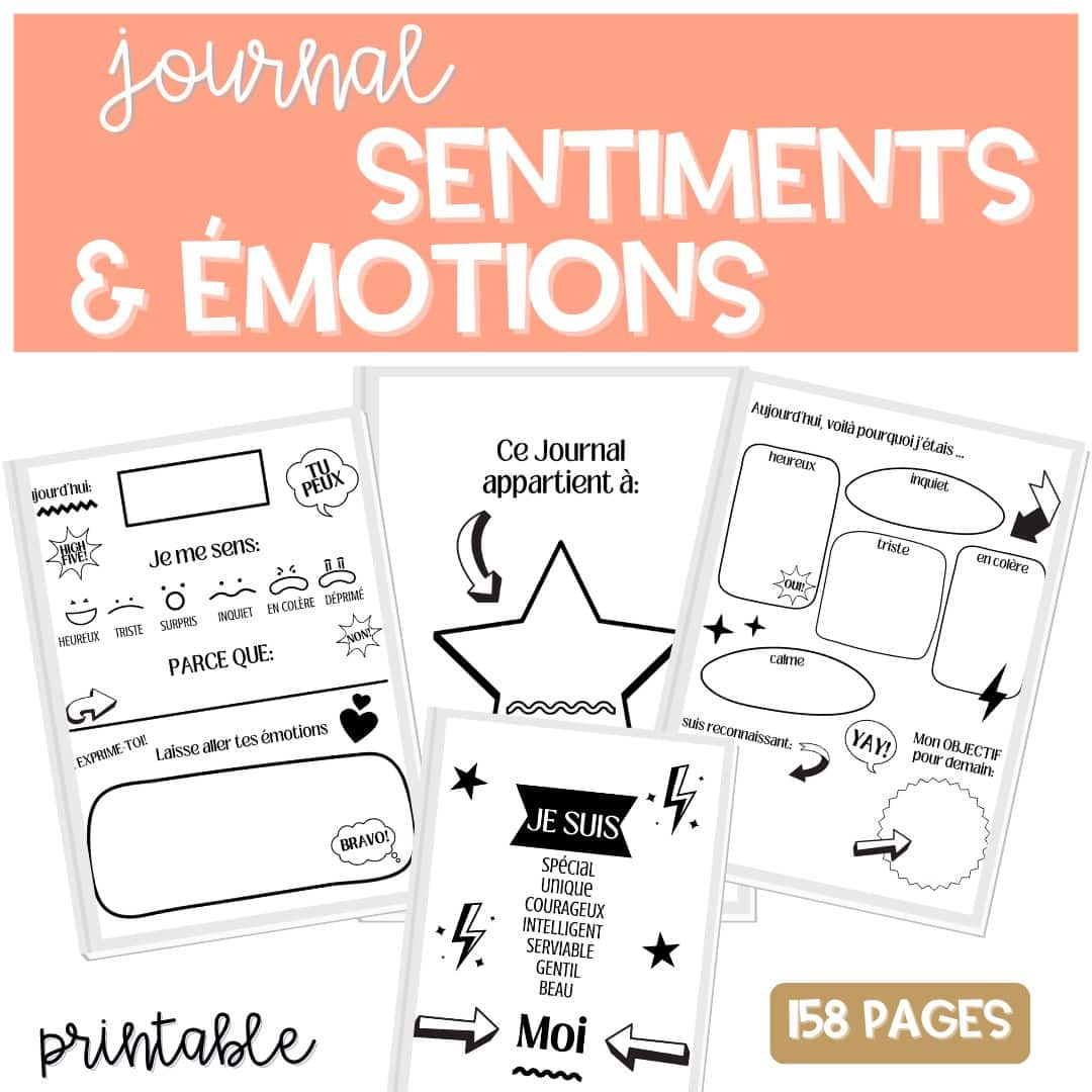 Journal social et émotionnel | Émotions Sentiments - Etude de la Langue ...